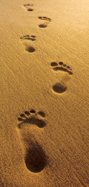 Footprints | The Honest Courtesan