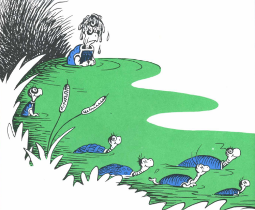 Donald the Turtle | The Honest Courtesan